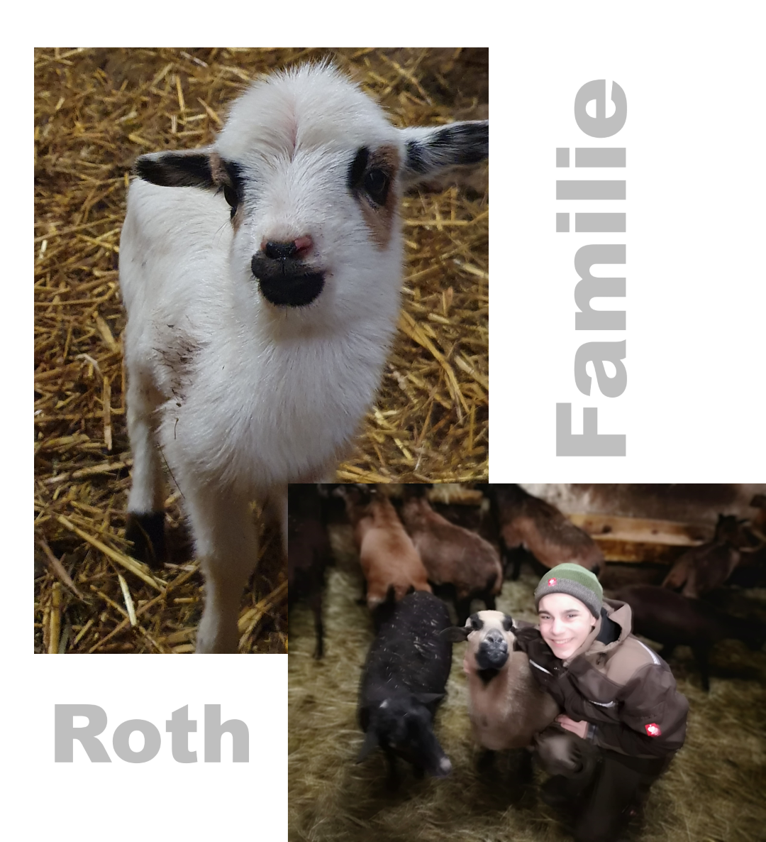 Home - Bauernhof Roth